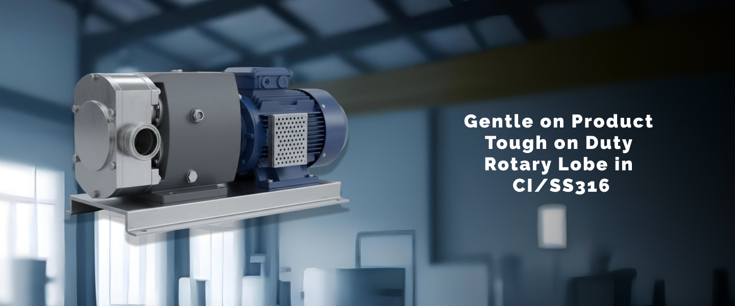 Rotary Lobe Pumps in CI & SS316 (CF8M)
